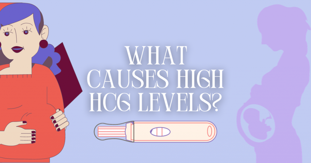 Understanding HCG Levels in Pregnancy – BUZUD Singapore